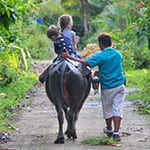 Day Tour | Loboc River Resort